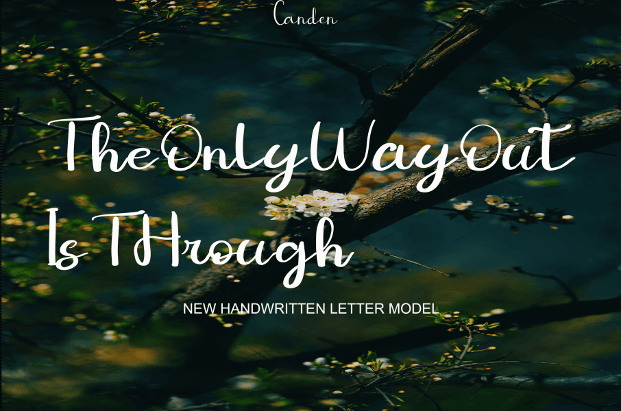 ETHEM BEYS Font · 1001 Fonts