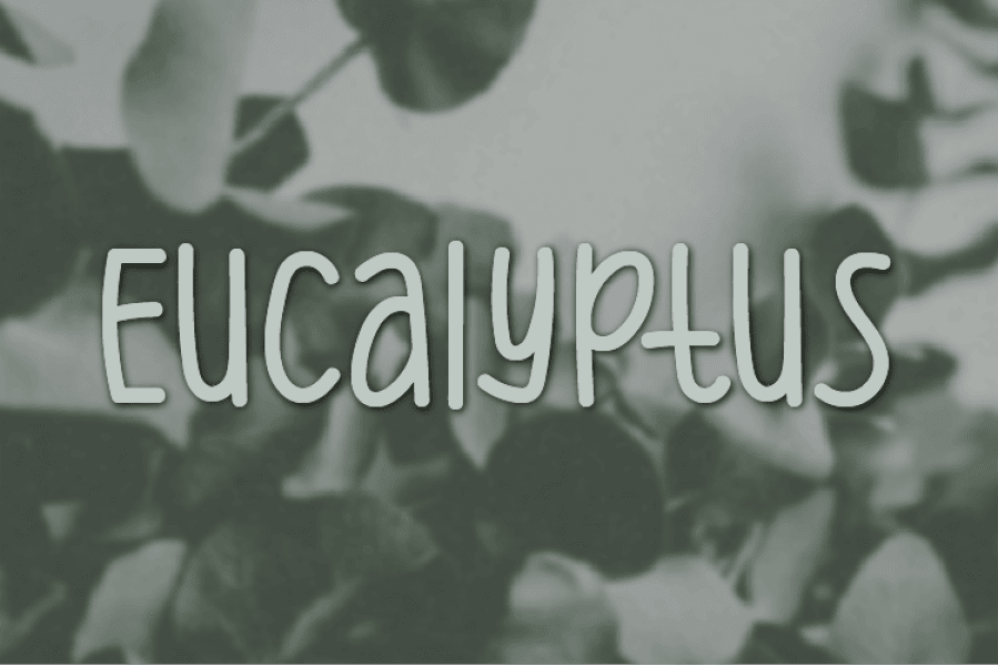 Eucalyptus Font · 1001 Fonts