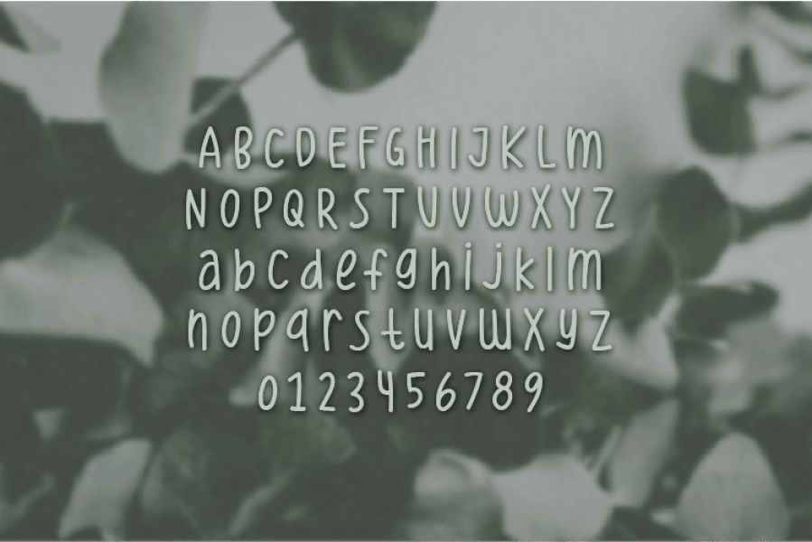 Eucalyptus Font · 1001 Fonts