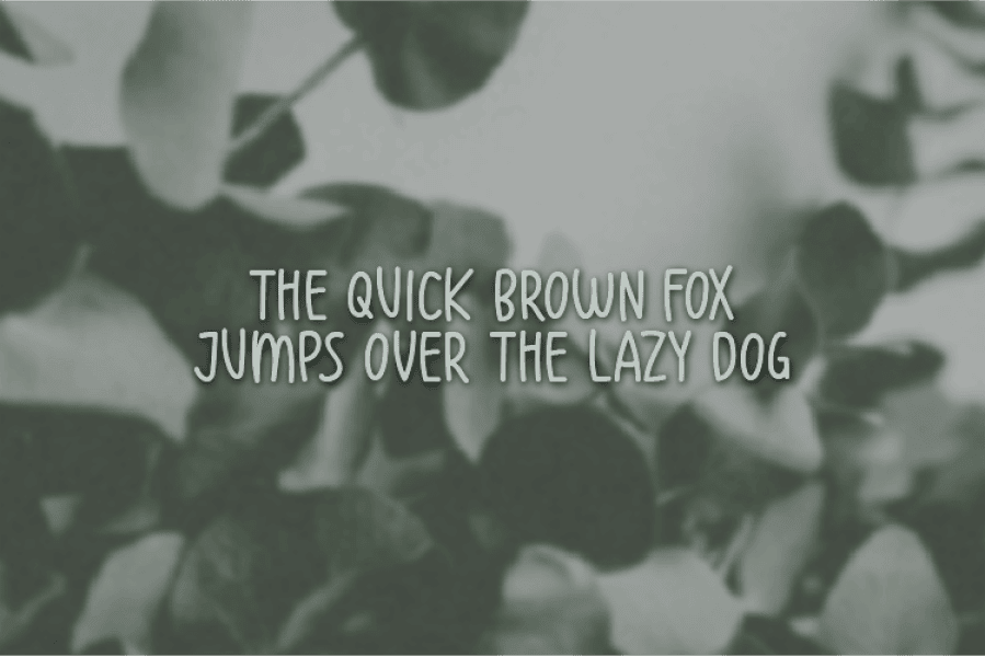 Eucalyptus Font · 1001 Fonts