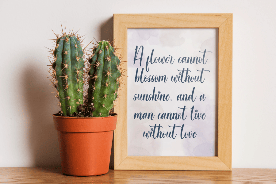 Evening Flower Demo Font · 1001 Fonts