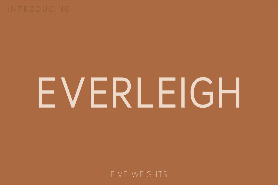 Everleigh Font Family · 1001 Fonts