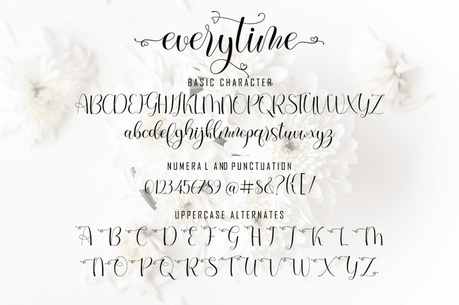Everytime Script Font · 1001 Fonts