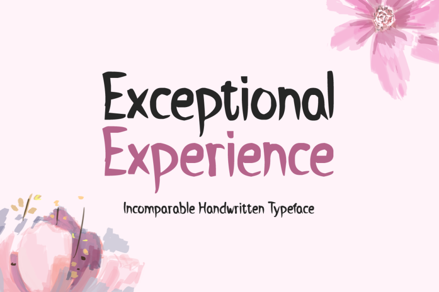 Exceptional Experience Font · 1001 Fonts