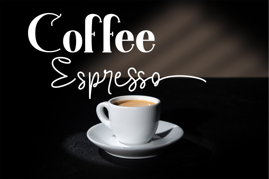 Executive Boss Font Family · 1001 Fonts