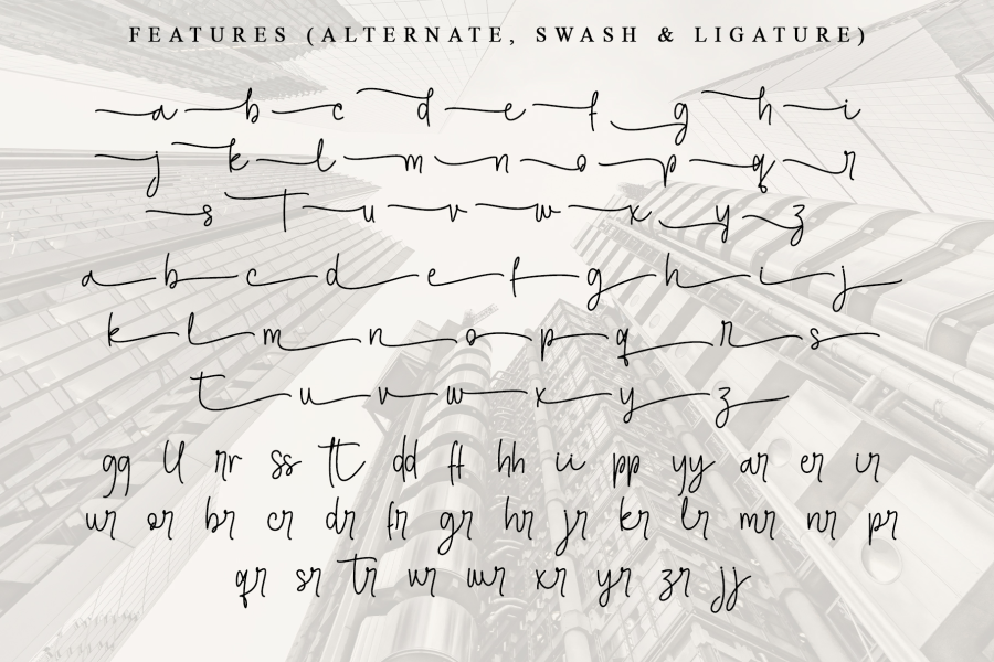 Executive Boss Font Family · 1001 Fonts