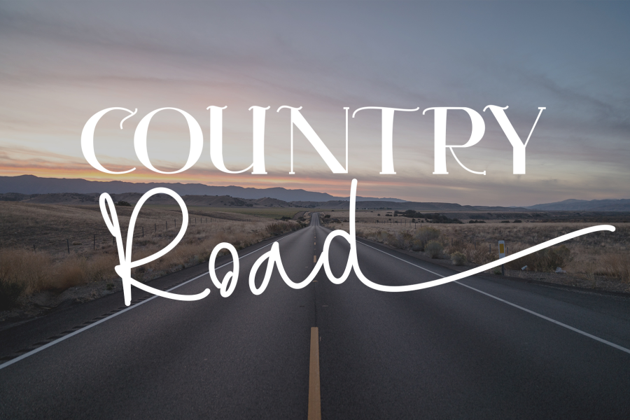 Executive Boss Font Family · 1001 Fonts