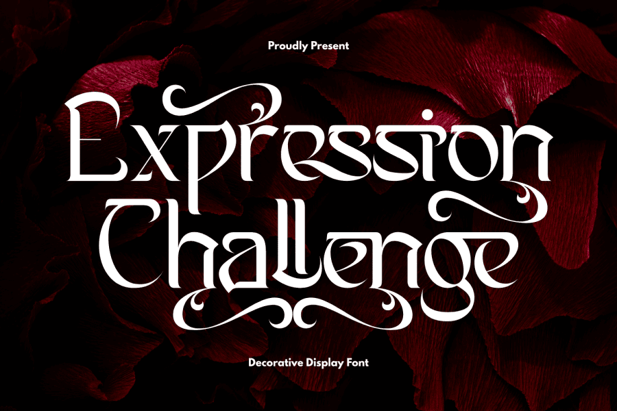 Expression Challenge Demo Font · 1001 Fonts