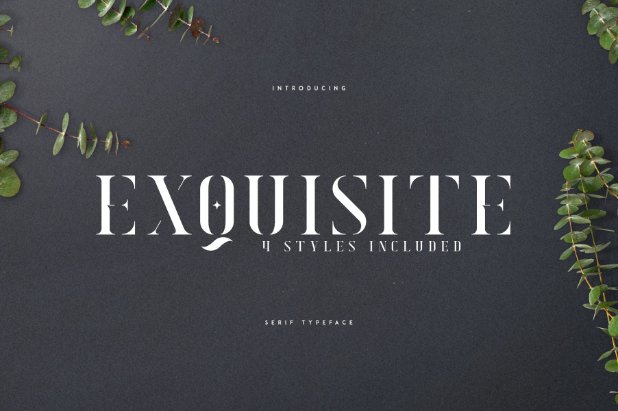 Exquisite Font · 1001 Fonts