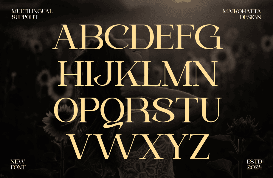 FACERI Font · 1001 Fonts