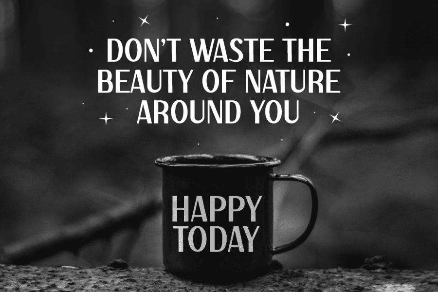 Faith Font · 1001 Fonts