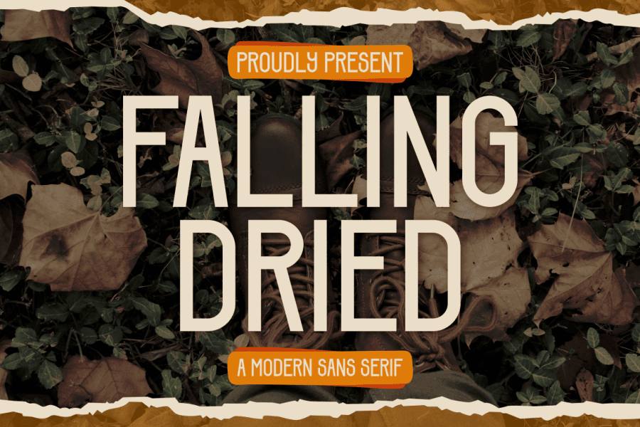Falling Dried Font · 1001 Fonts