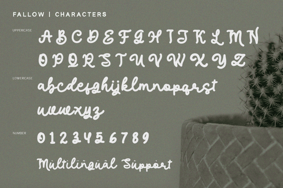 Fallow Free Font · 1001 Fonts