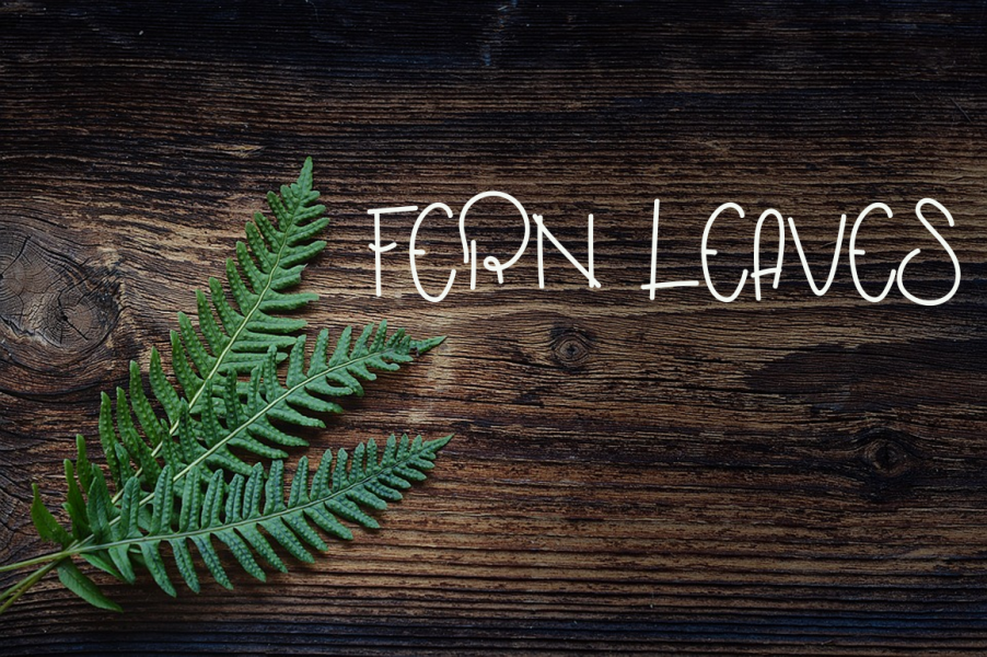 2 Free Caps Only, Cursive, Sunflower Fonts · 1001 Fonts