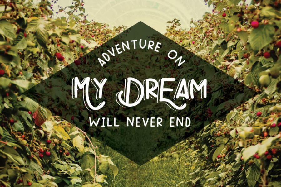 2 Free Nutrition Fonts · 1001 Fonts