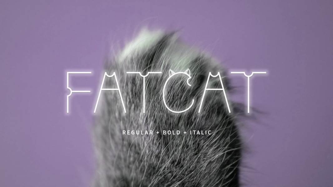 Fat Cat Font DK Fat Kitty Kat Font | Dafont.com