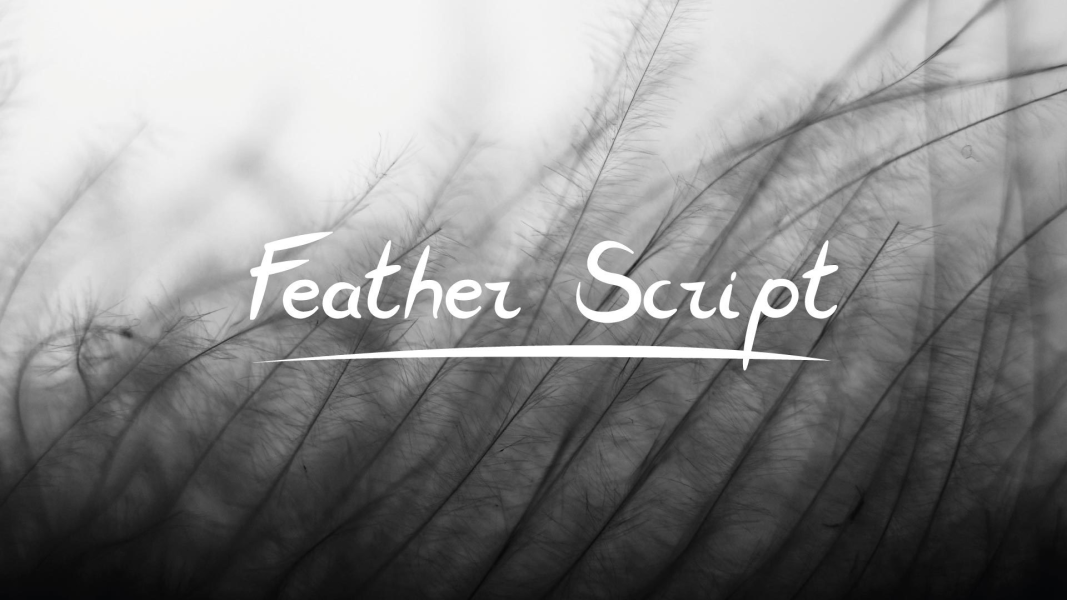 FeatherScript Font · 1001 Fonts