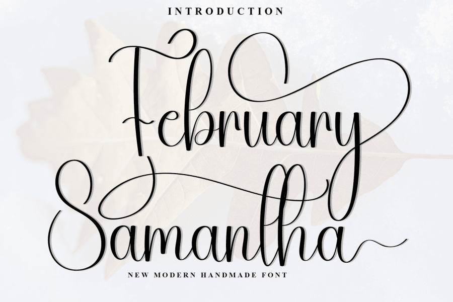 February Samantha Font · 1001 Fonts