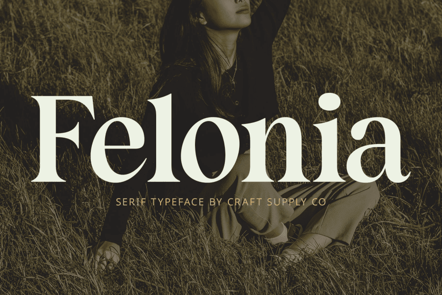 Felonia Demo Font · 1001 Fonts