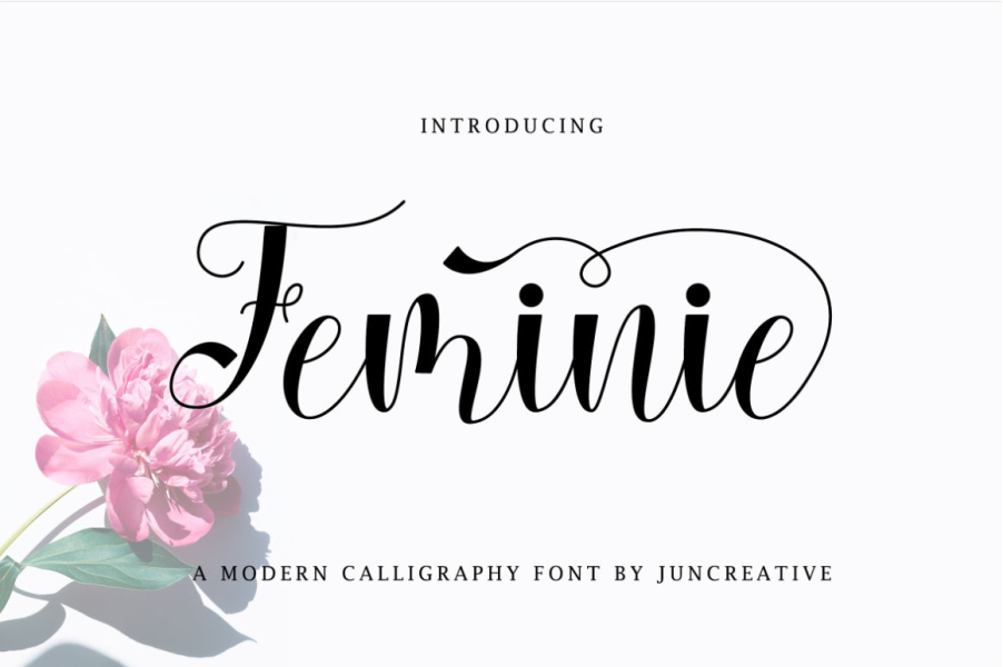 Feminie Font · 1001 Fonts
