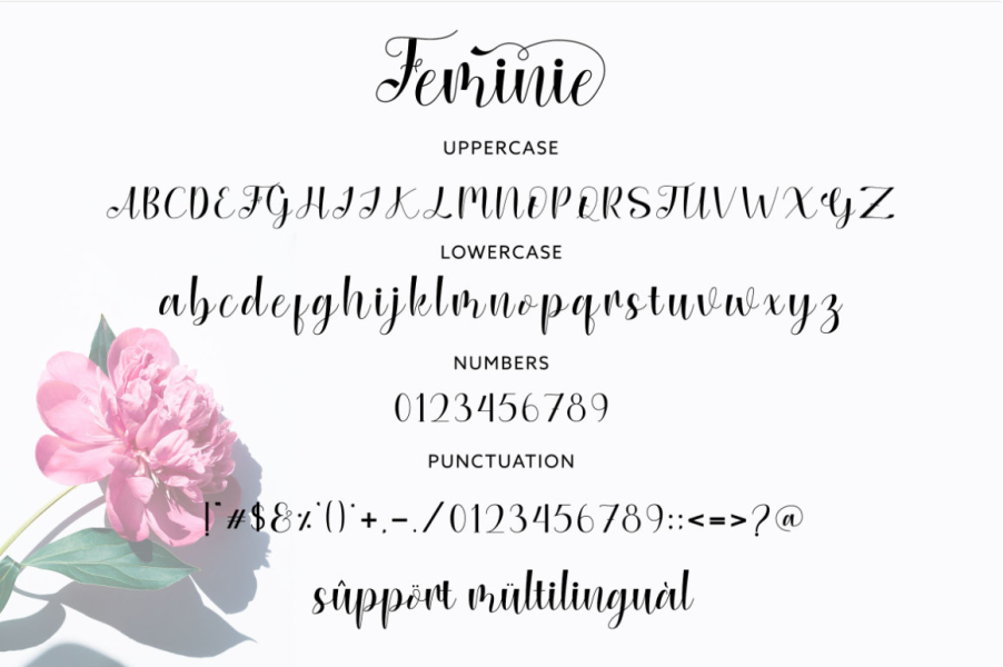 Feminie Font · 1001 Fonts