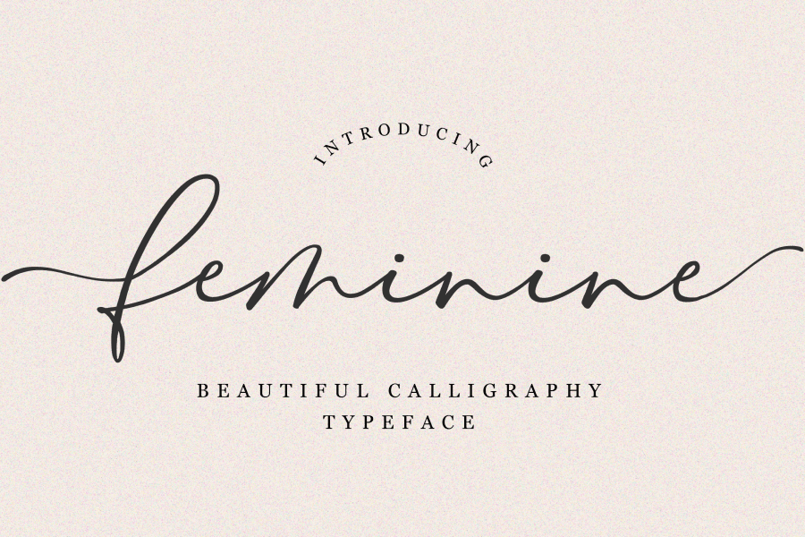 Feminine Font · 1001 Fonts