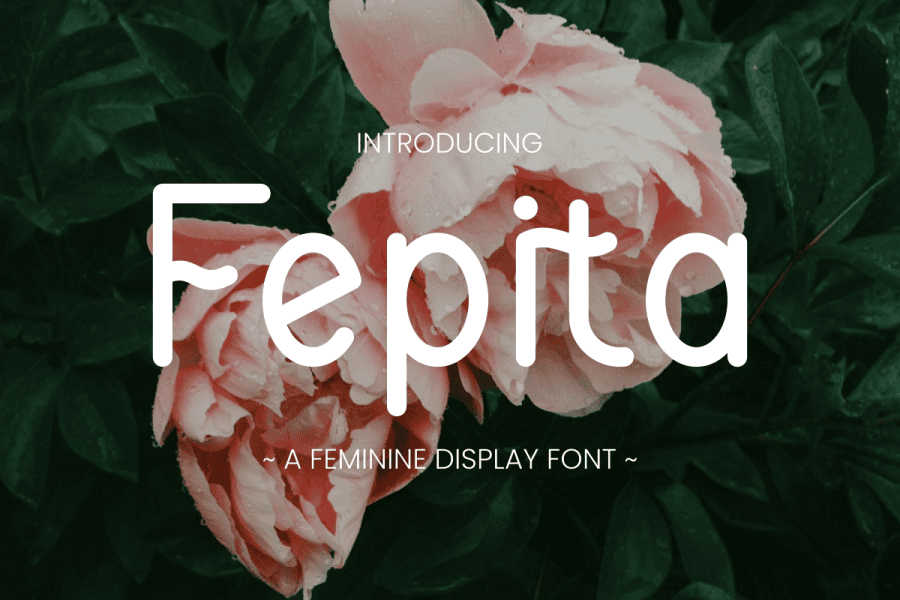 FEPITA Font Family · 1001 Fonts