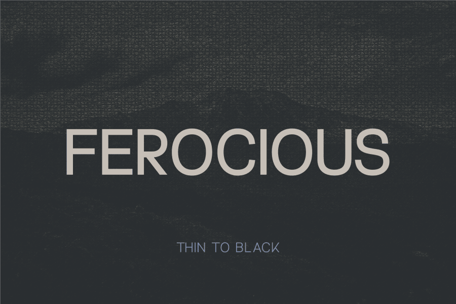 Ferocious Font · 1001 Fonts