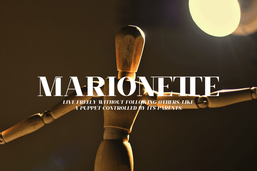 Filora Font Family · 1001 Fonts