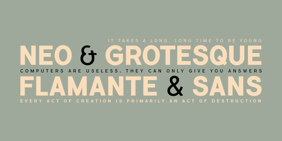 Flamante Sans Font Family · 1001 Fonts
