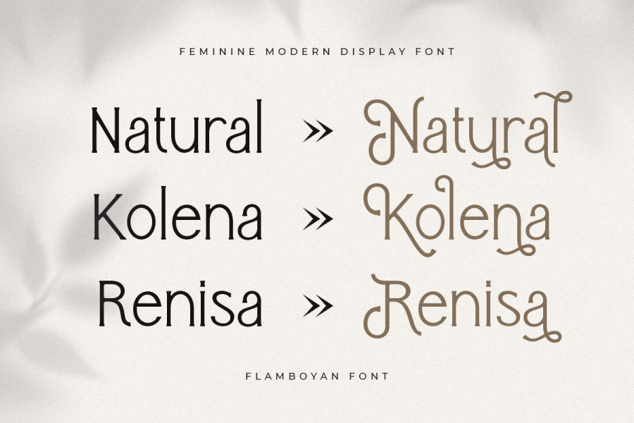 Flamboyan Font · 1001 Fonts