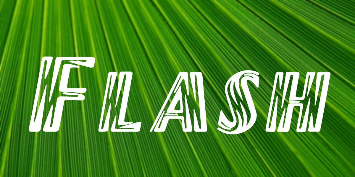 Flash Font · 1001 Fonts