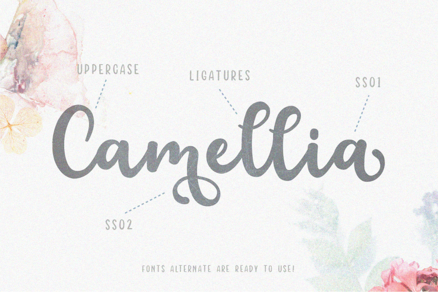 2 Free Silhouette, Flower, Script Fonts · 1001 Fonts