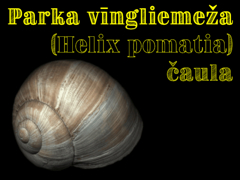 For Drawing Titles Font Family · 1001 Fonts