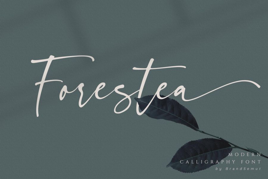 Forestea Script Font · 1001 Fonts