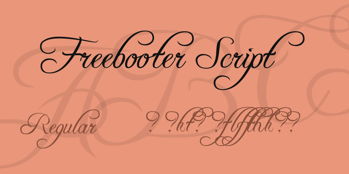 Freebooter Script Font Family · 1001 Fonts