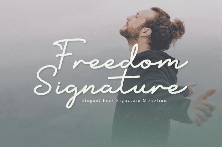 Freedom Signature Font · 1001 Fonts