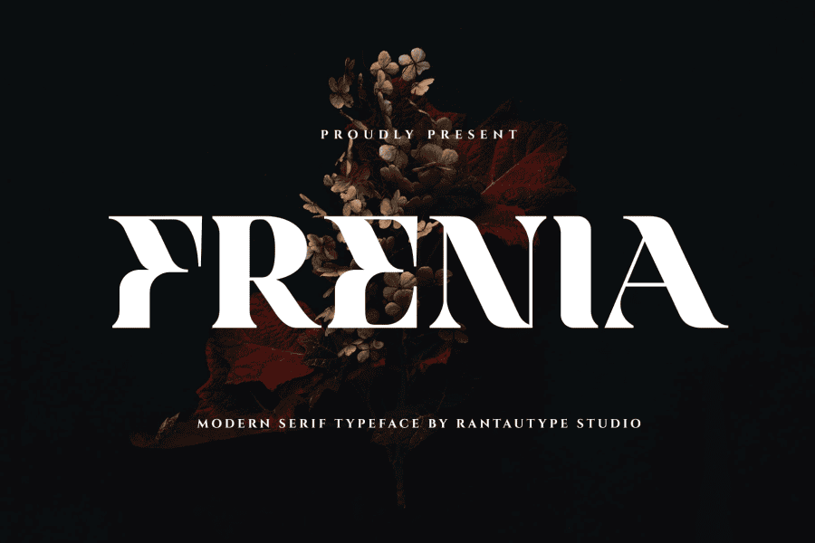 Frenia Font · 1001 Fonts