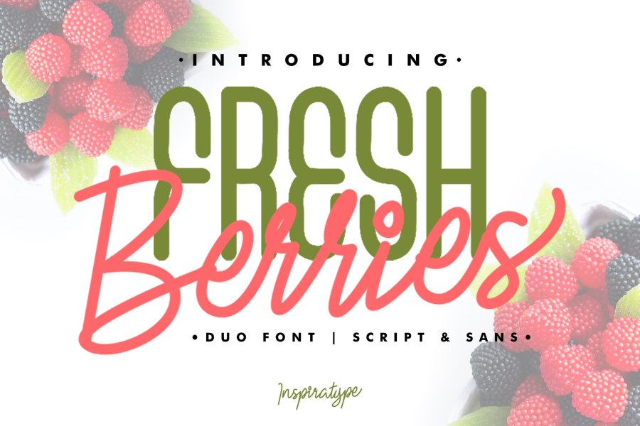 FRESH Font Family · 1001 Fonts