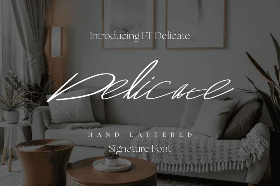 FT Delicate Font · 1001 Fonts