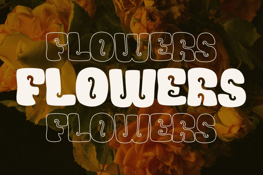 FUNK-JIVE Font · 1001 Fonts