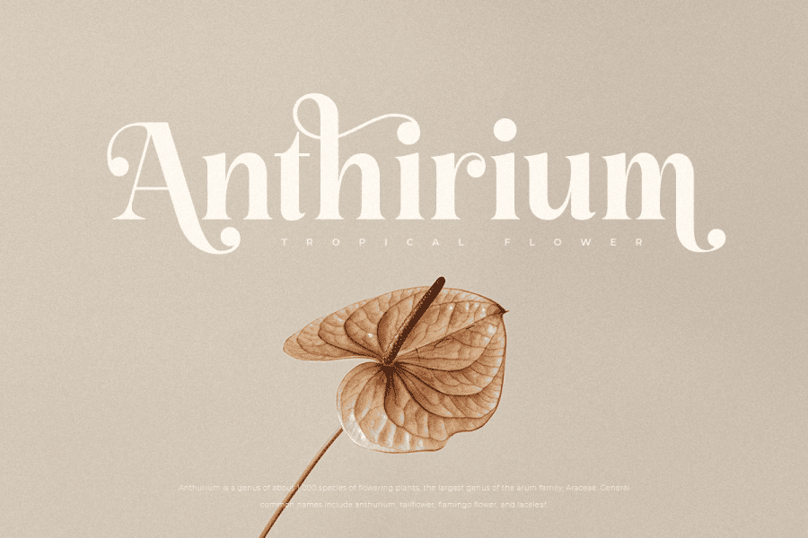 Gafta Font · 1001 Fonts
