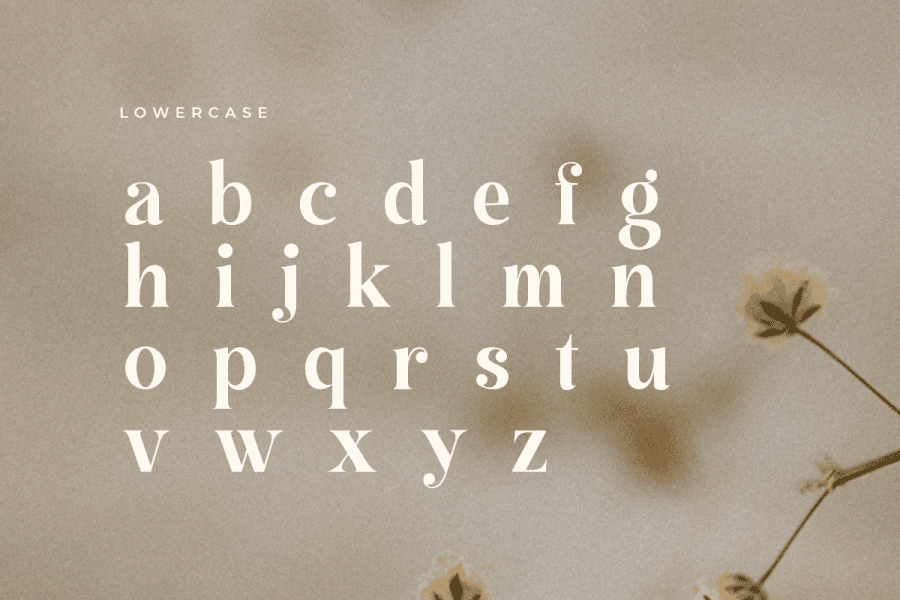 Gafta Font · 1001 Fonts