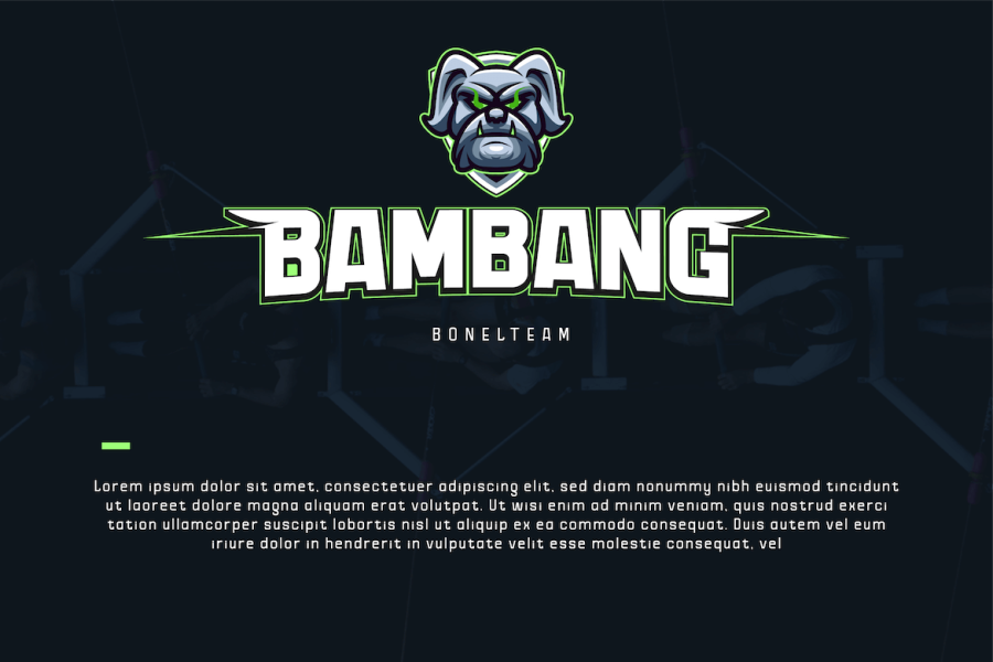 Gamy Font Family · 1001 Fonts