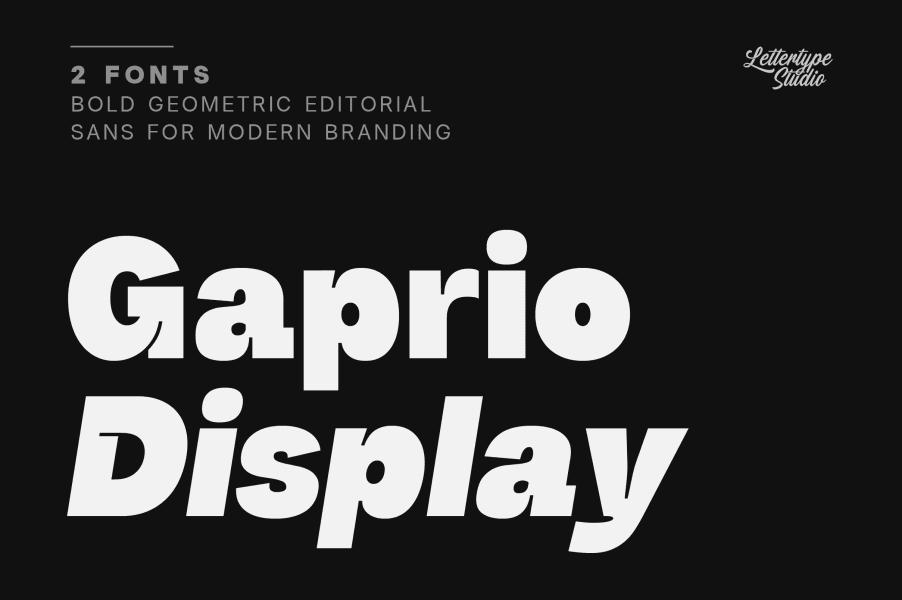 1 Free Modernposter, Visualidentity Font · 1001 Fonts
