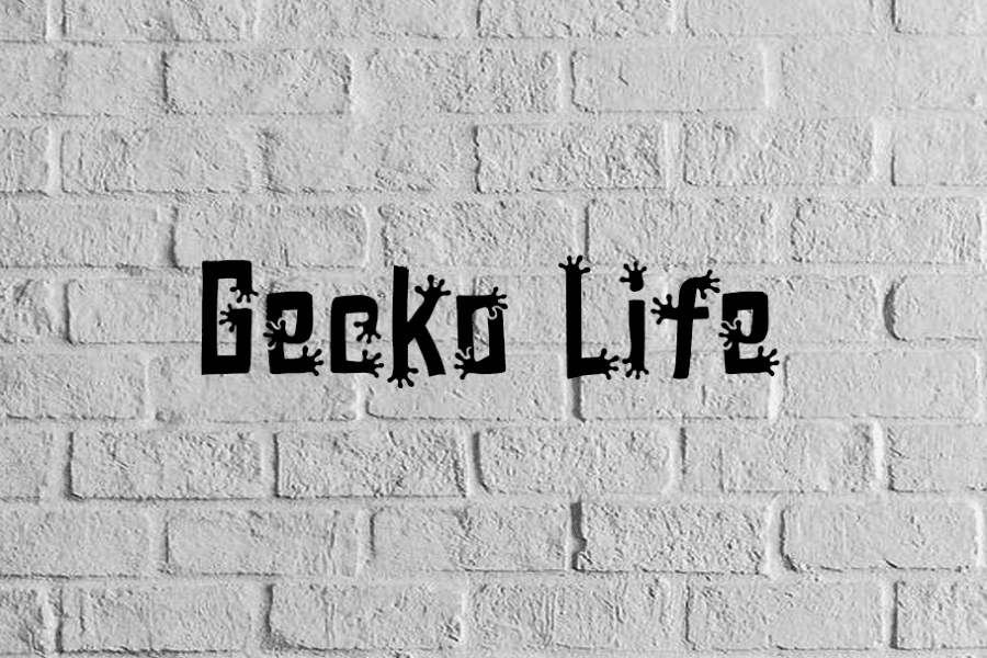 Geckoprint Font · 1001 Fonts