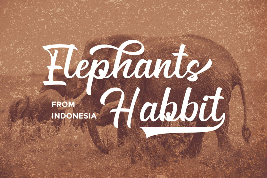 Generation Font · 1001 Fonts