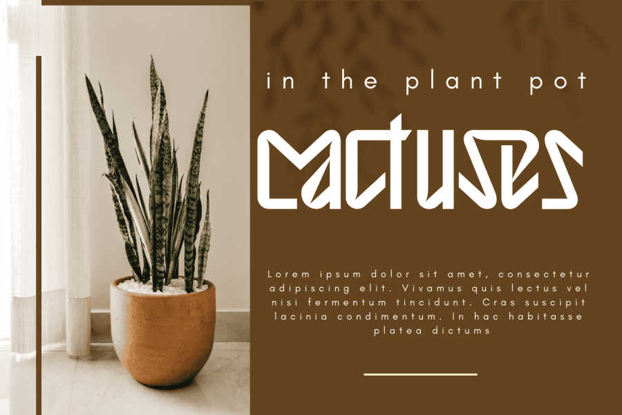 Generational Stereotypes Demo Font · 1001 Fonts