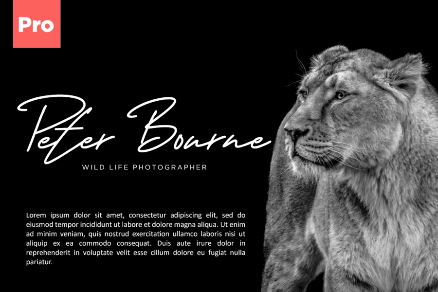 George Signature Font · 1001 Fonts