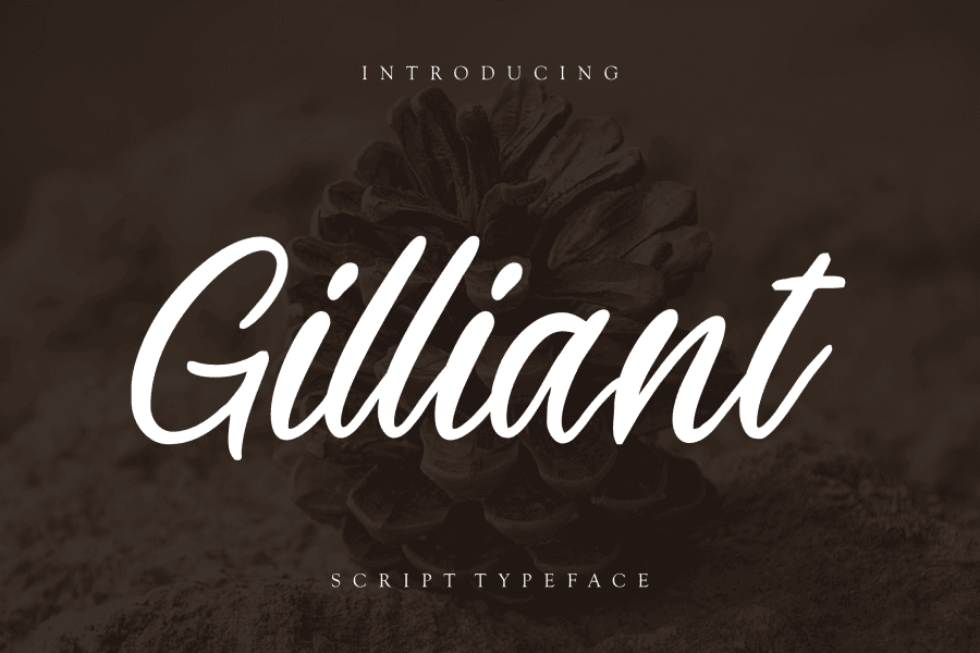 Gilliant Font · 1001 Fonts